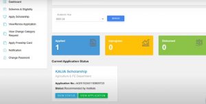 Odisha State Scholarship Portal 2025 - Check Latest Updates