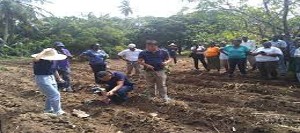 Discover Your Path | Career in Agricultural Extension Officer