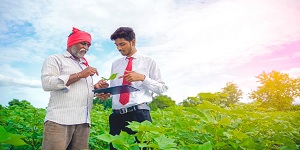 Discover Your Path | Career in Agripreneur