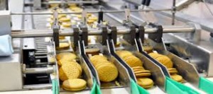 Discover Your Path | Career in Food Processing Engineer